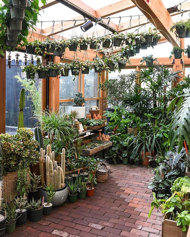 Top 8 Awesome Greenhouse Ideas - The Jungle Collective