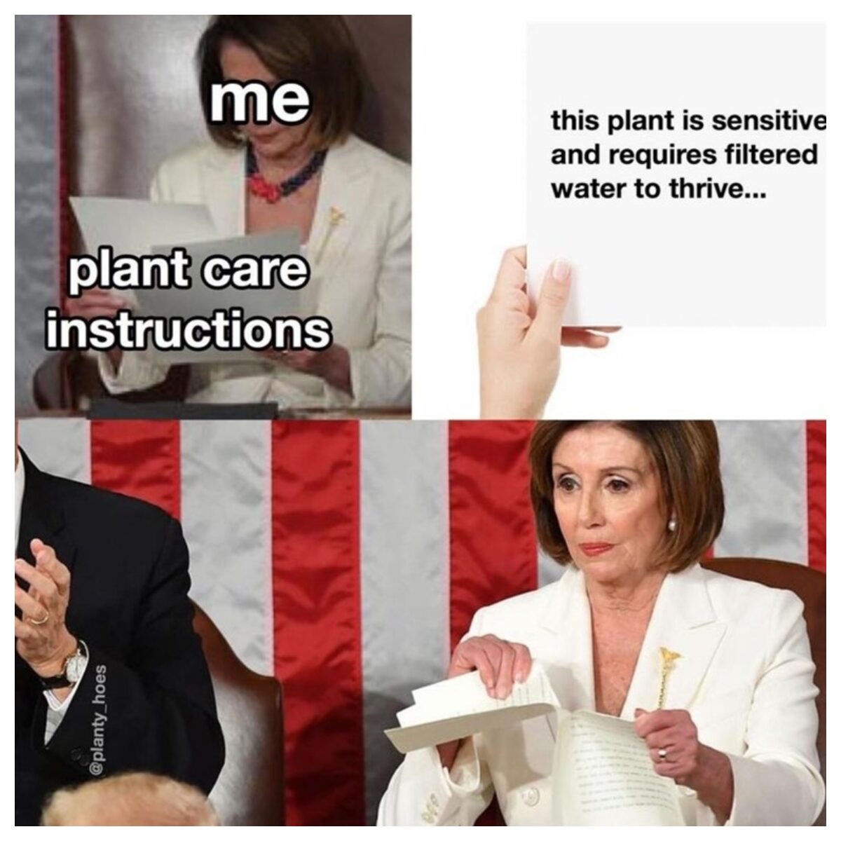 Top 10 Plant MEMEs You Must See - The Jungle Collective